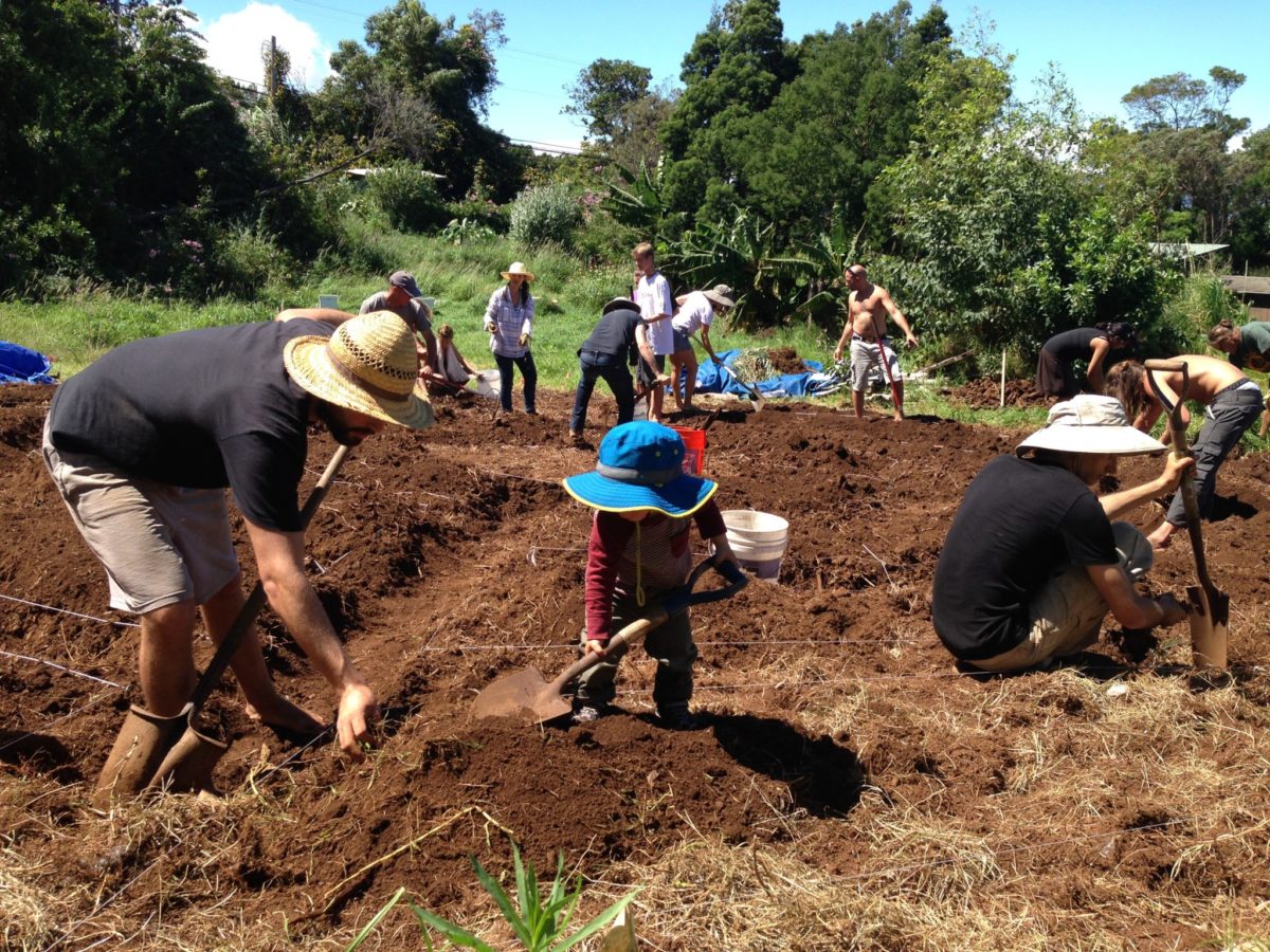 farm education | Pono Grown Farm Center