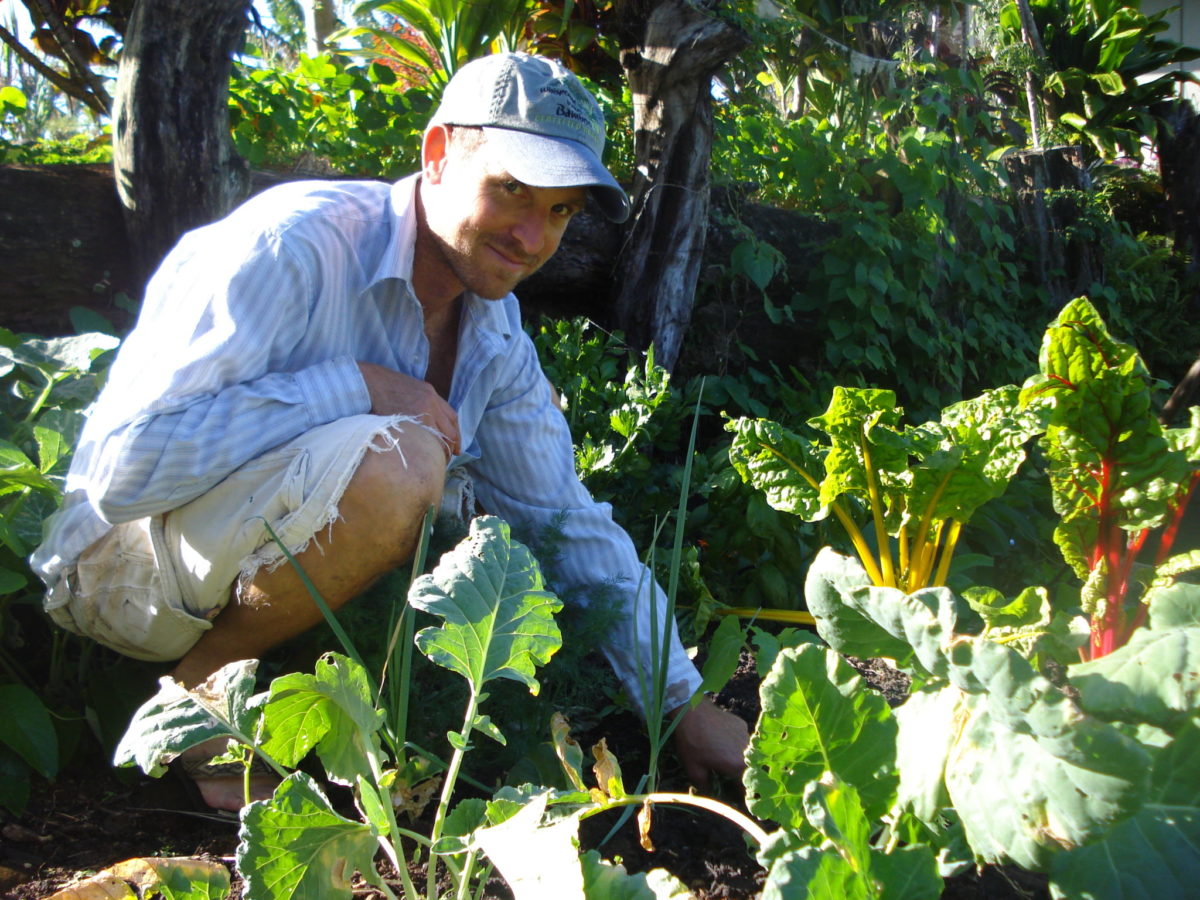 Pono Grown Farm Center | Pono Grown Farm Center in Makawao, HI grows ...